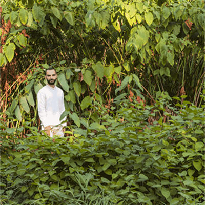 J Carrier, Alaa Abu Asad’s Wild Plants: An Interview | George Mason ...