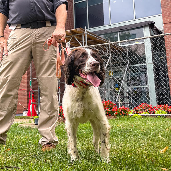 At Mason-led conference, forensic science experts offer training and ...