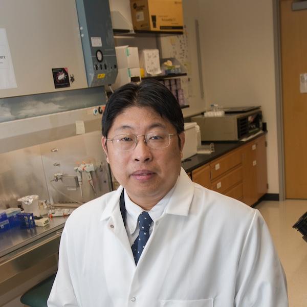 George Mason researchers lead breakthrough study to find functional ...
